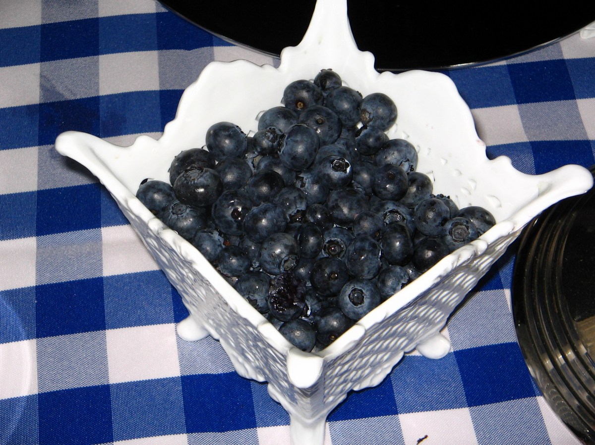 Blue & White Family Picnic | Tablescapes at Table /Twenty-One